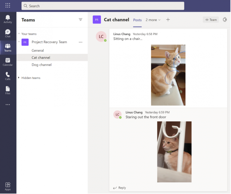 Where Are Files In Microsoft Teams Stored And How Do You Back Them Up